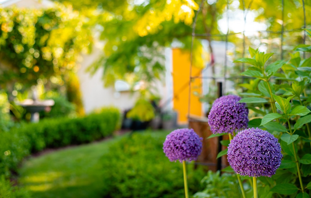 Ohio Flower Garden Layout Ideas