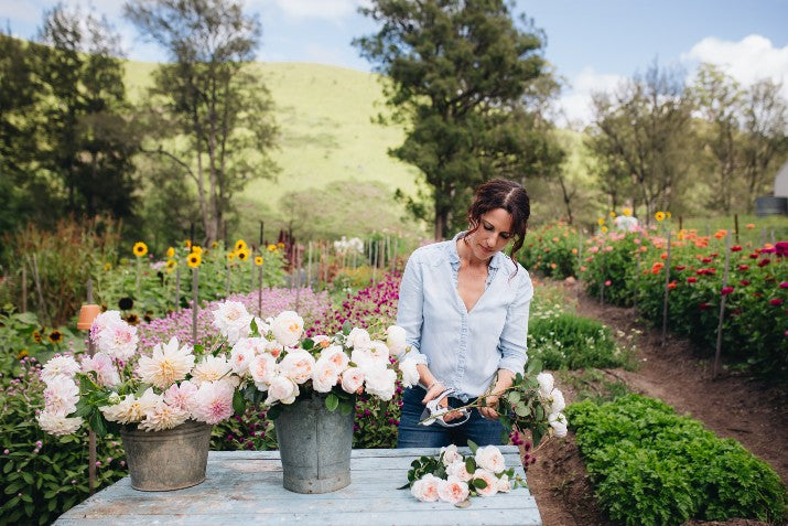 How to Grow a Cut Flower Garden: A Blooming Guide for Beginners and En ...