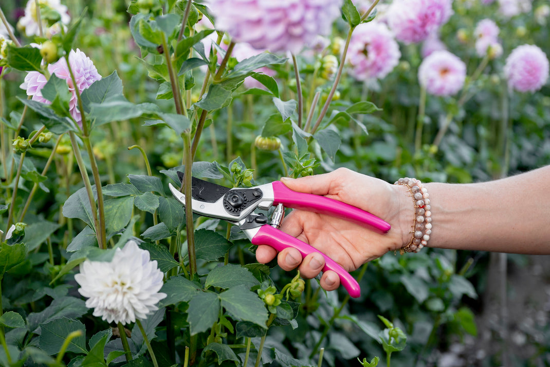 Get into Gardening | Blog | Hoselink USA
