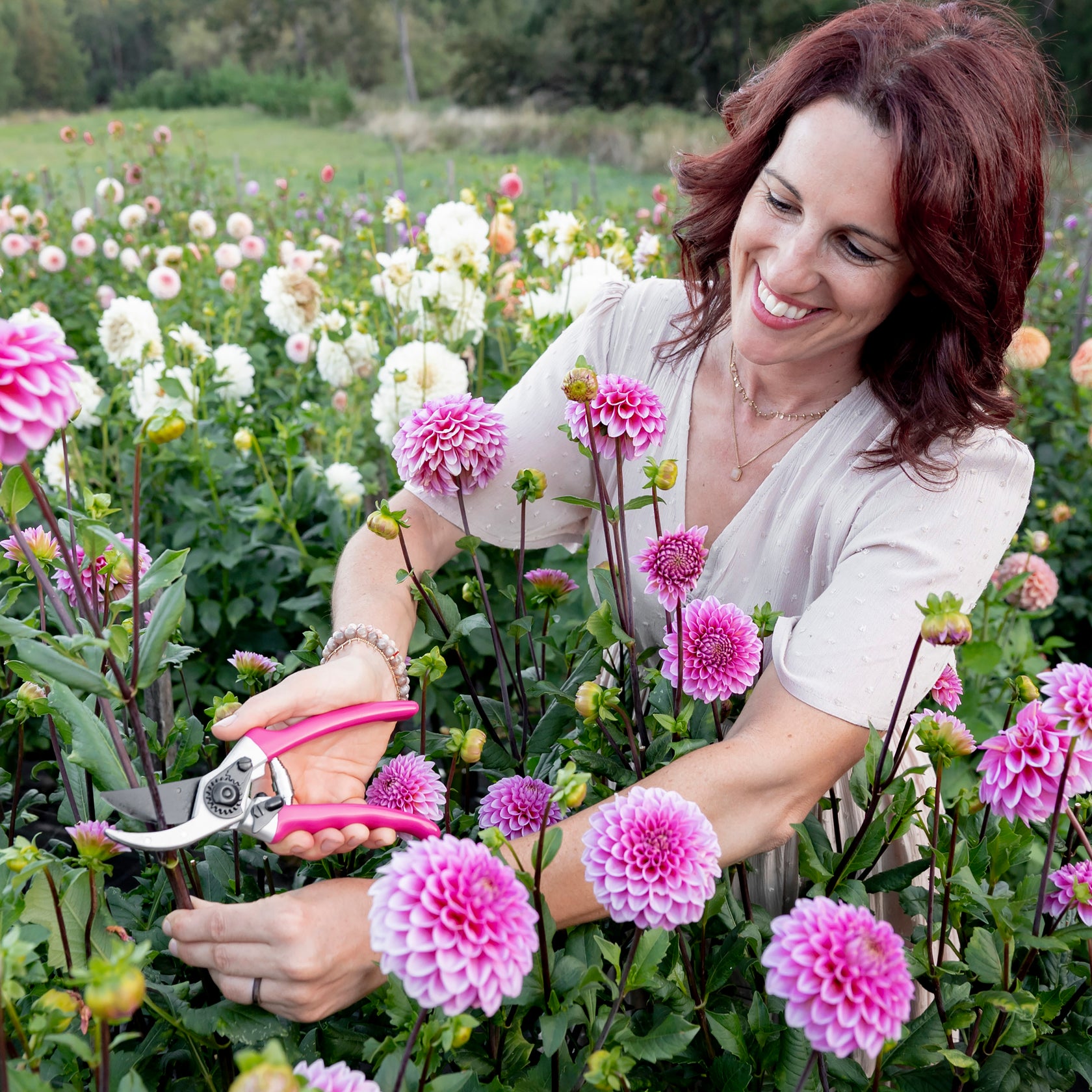 Pink Secateurs | Ultra-Sharp, Long-Lasting Pruners – Hoselink USA
