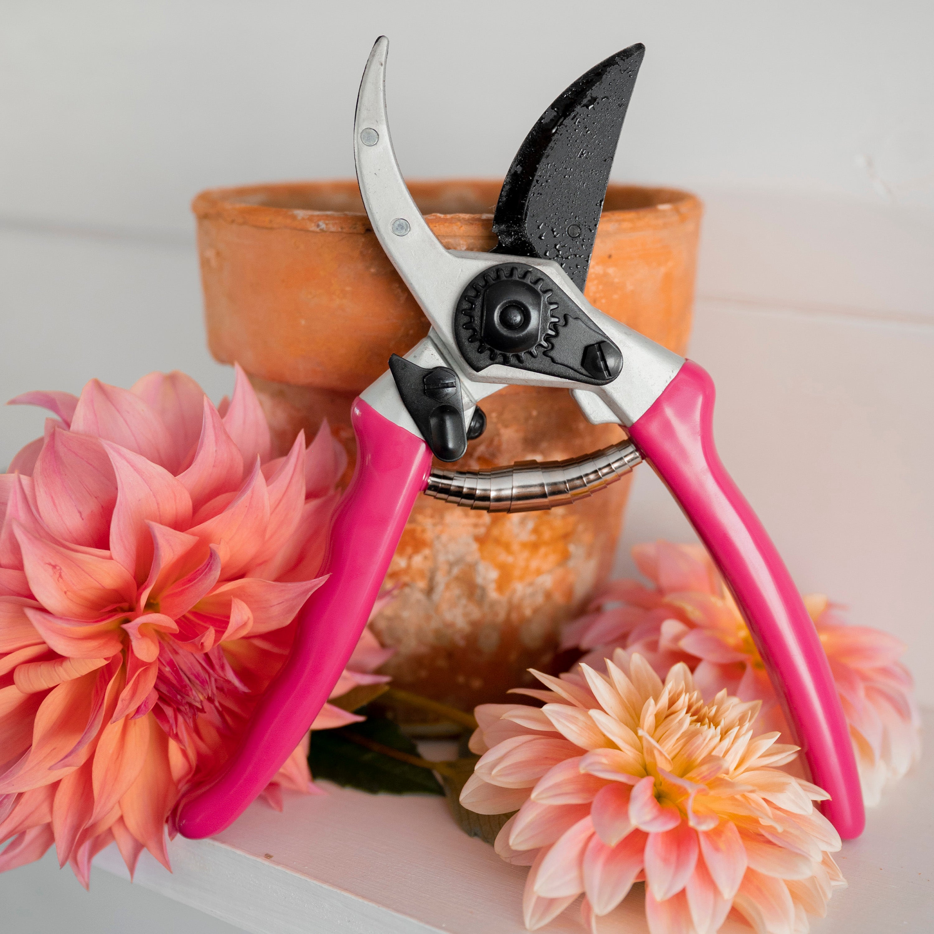 Pink pruning shears store