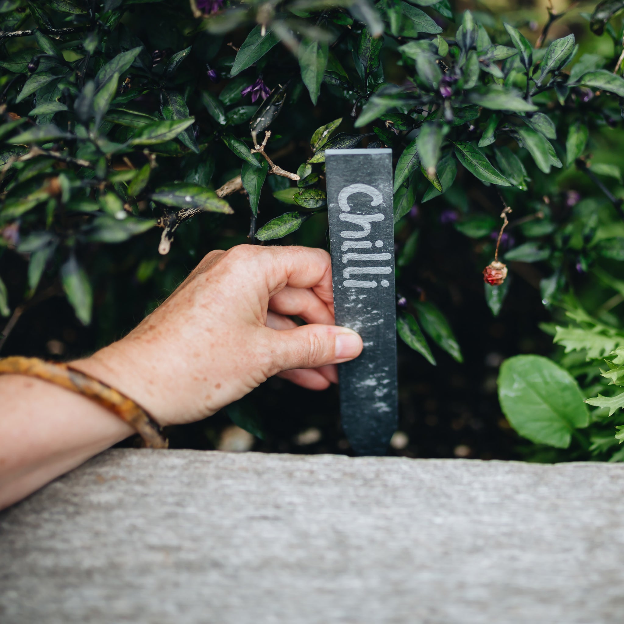 Slate Plant Labels - 5 pack – Hoselink USA