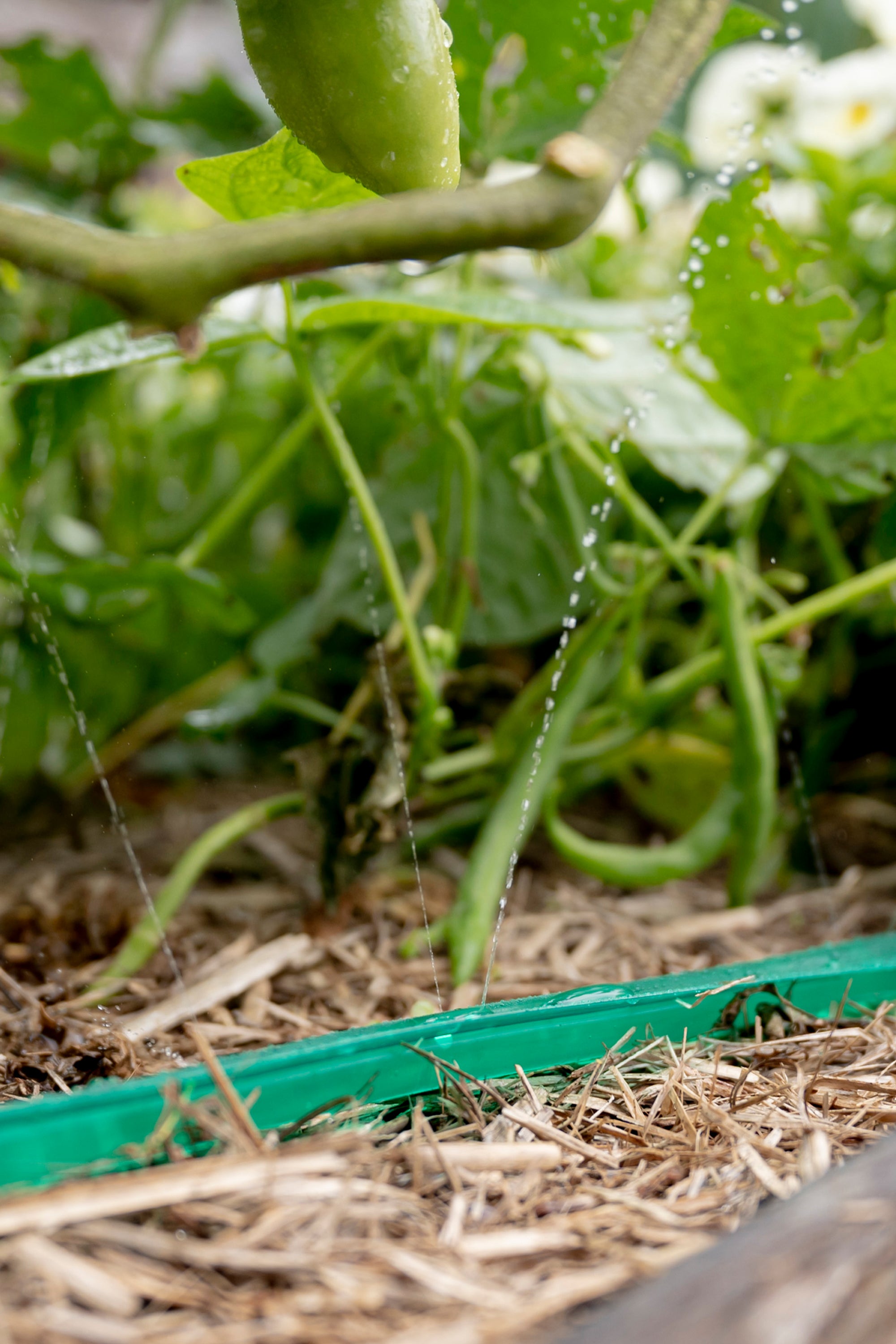 High Quality Garden Hoses | Hoselink – Hoselink USA