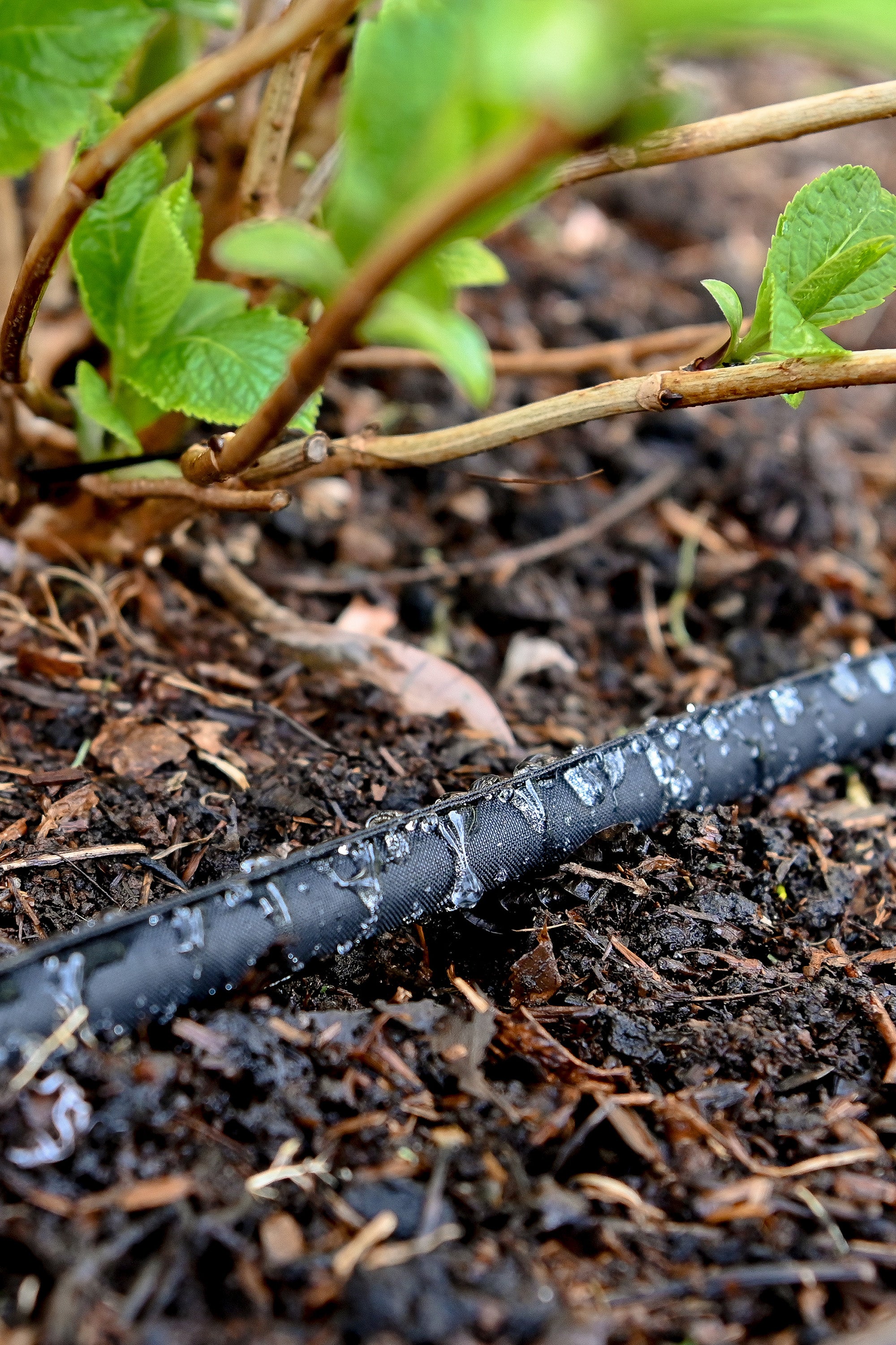 High Quality Garden Hoses | Hoselink – Hoselink USA